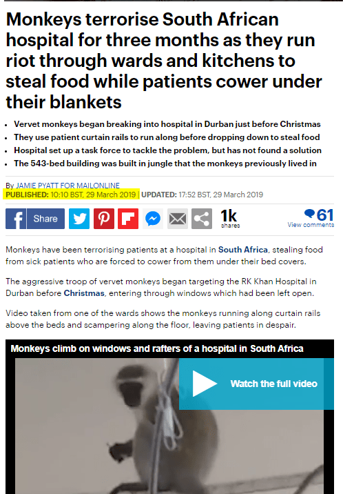 Old video from South Africa shared as monkeys inside hospital in India ...